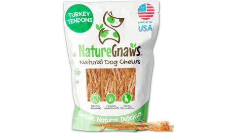 Nature Gnaws USA Turkey Tendons for Dogs Review | The Best Pet Gear